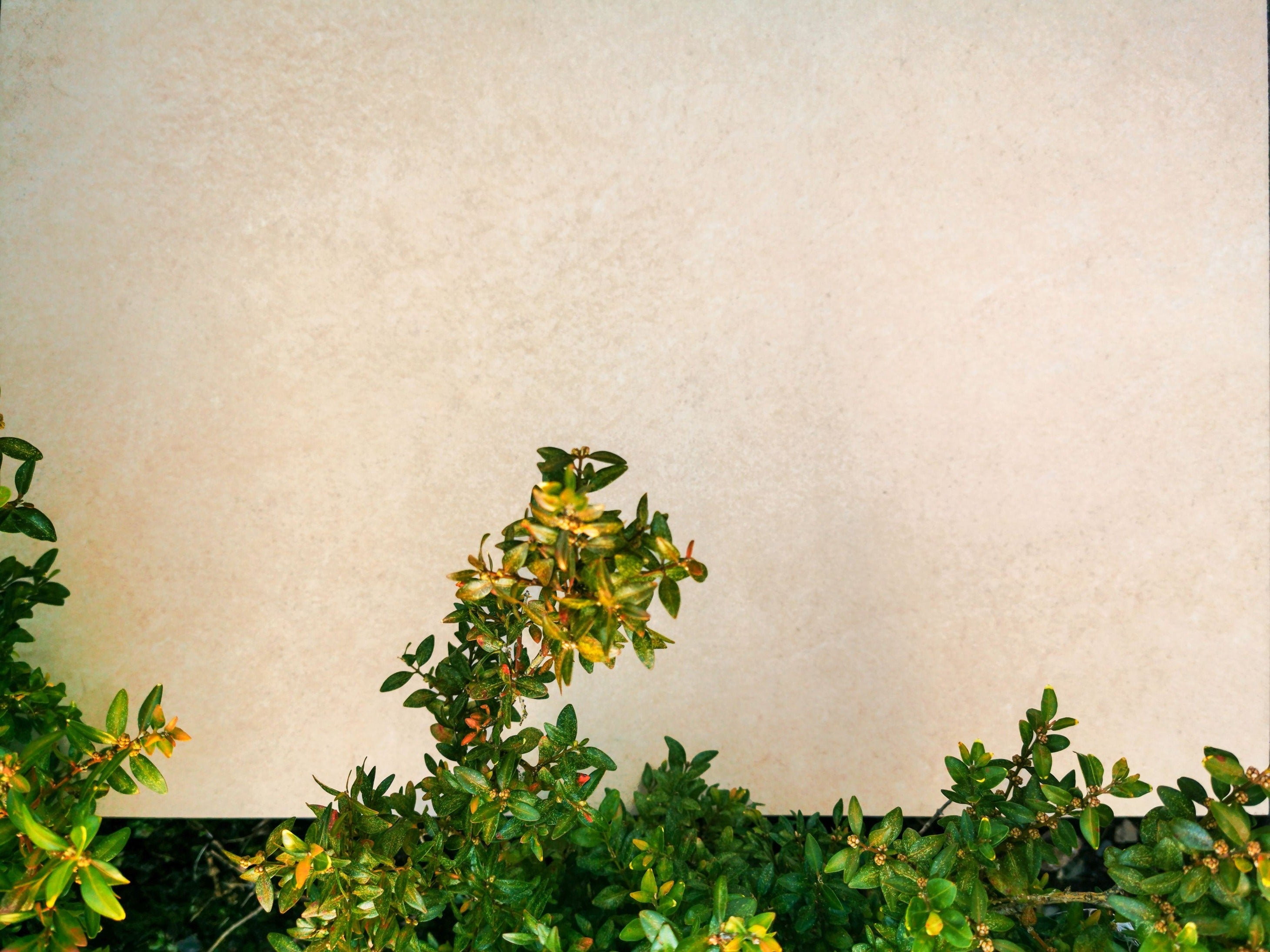 Huntley™ | Cream Stone Effect Porcelain Paving Patio Pack - 21.06 sqm